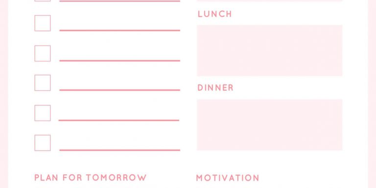 Daily Overview Template - Free Digital Planners